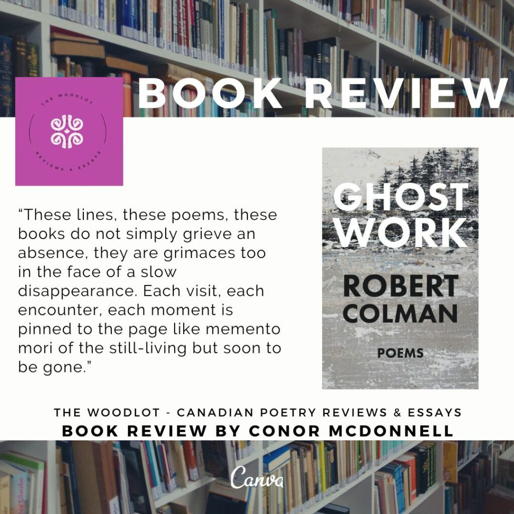 Book Review - Ghost Work Reviewed by The Woodlot - Palimpsest Press