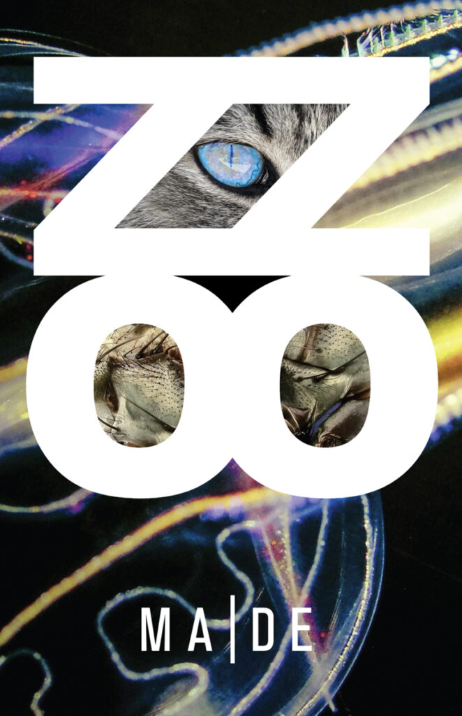 ZZOO: the MA|DE interview in The Miramichi Reader - Palimpsest Press